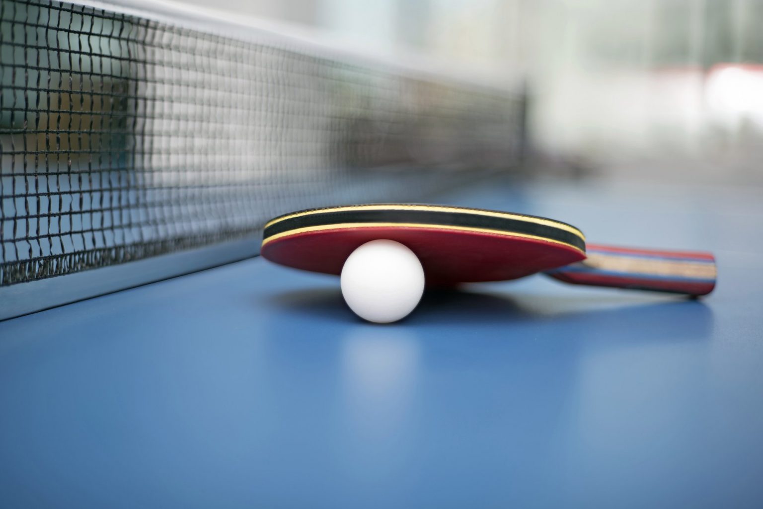 Good Advice For Ping Pong Beginners | Green Gables Blog